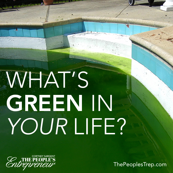What's green in your life? | Motivational Monday | The People's Trep